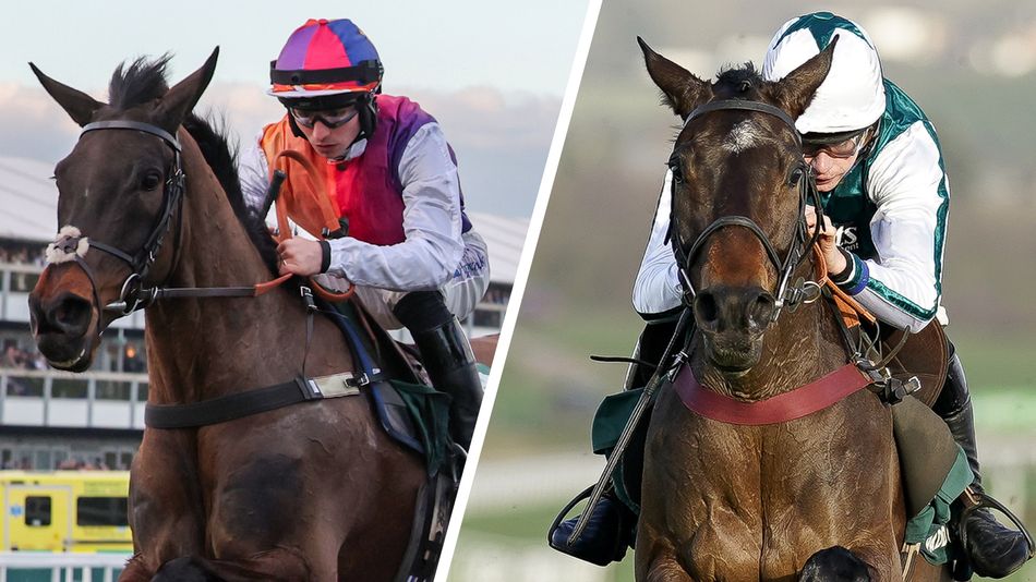 Another Native River? All eyes on the Denman as Haiti Couleurs bids to ...