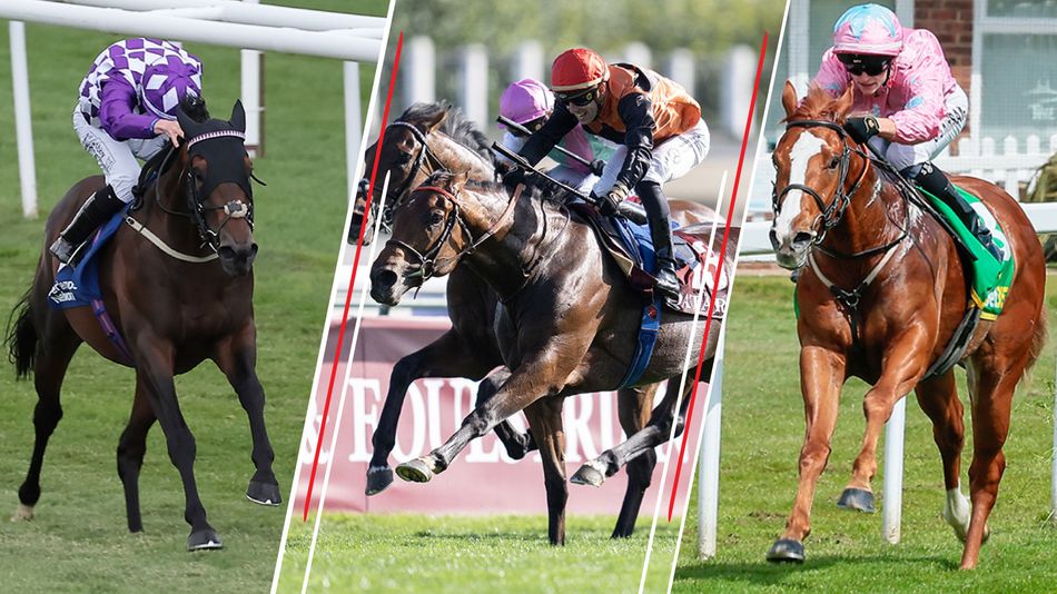 Flat season review: Racing Post reporters on their best moments ...