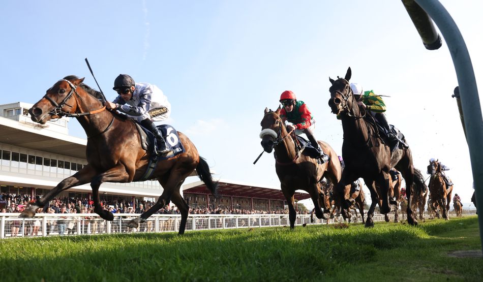 Redcar's big handicap goes under the microscope - plus Chris Cook's ...