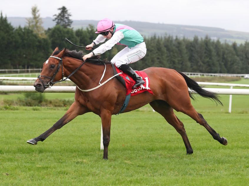 Juddmonte's Faiyum demolishes rivals in Group 3 as Colin Keane ...