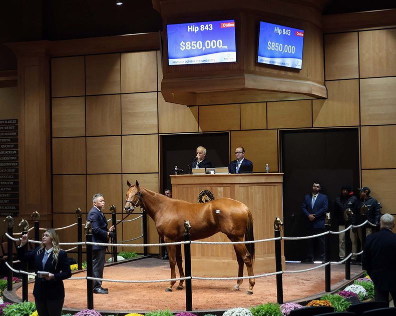 'He was at a higher echelon' - $850,000 Candy Ride colt tops third ...