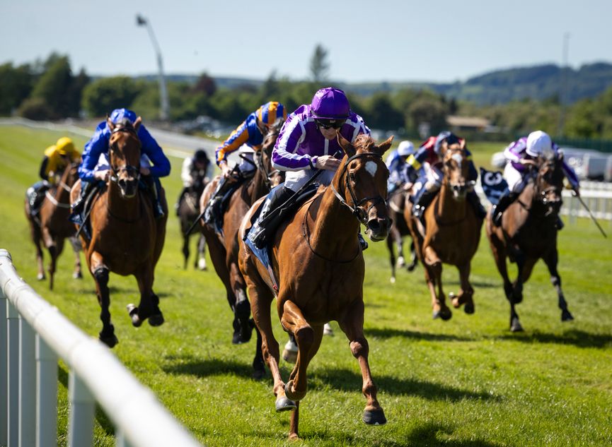 'We may not see a clear favourite until Ryan Moore makes his choice ...