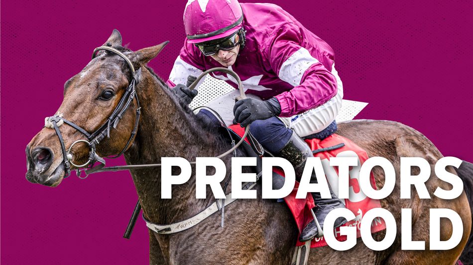 Predators Gold heads strong Willie Mullins challenge in first Grade 1 ...