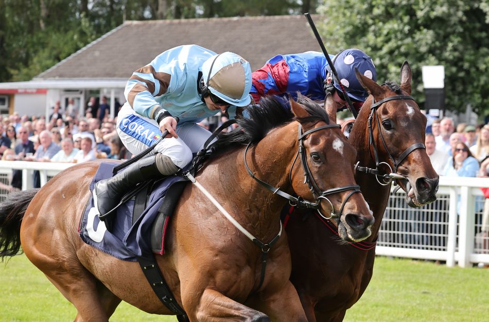 'He was like a grandfather' - owner Gwilym Morris remembered by Bowen ...