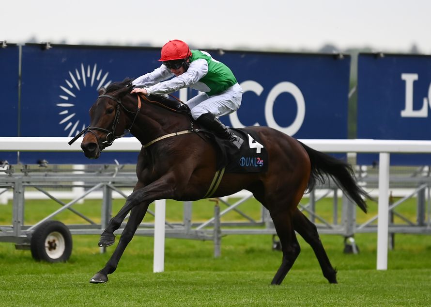 'She looks the real deal' - Pyledriver's half-sister excites on ...