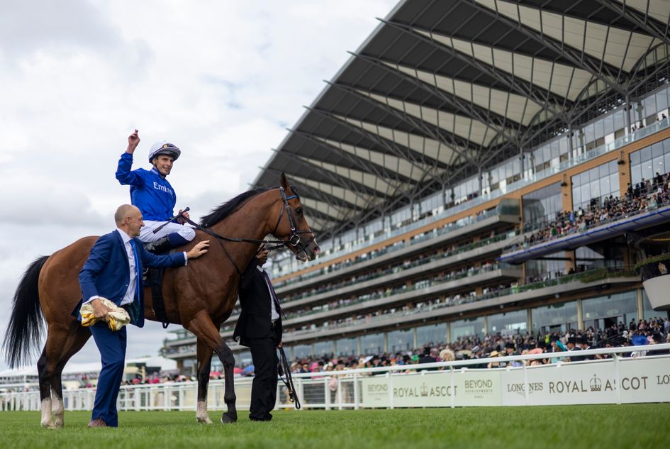 Prince of Wales's Stakes: classy Ombudsman sparkles in Royal Ascot ...