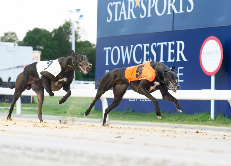 Finalist In Focus: Hackney Corner | Racing Post