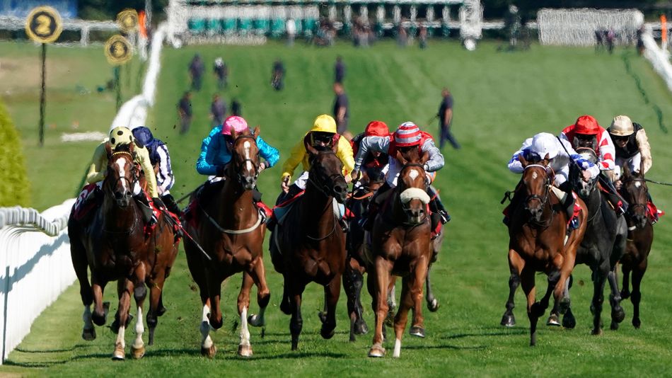Defence claim that horse was 'doomed' to die refuted as trainer's case ...