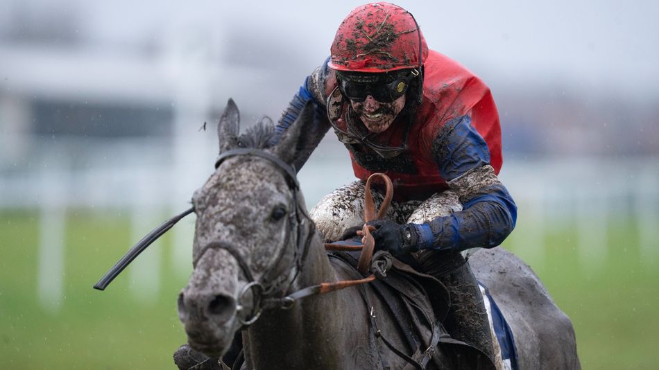 'The most honest, genuine horse you could come across' - Chris Honour ...