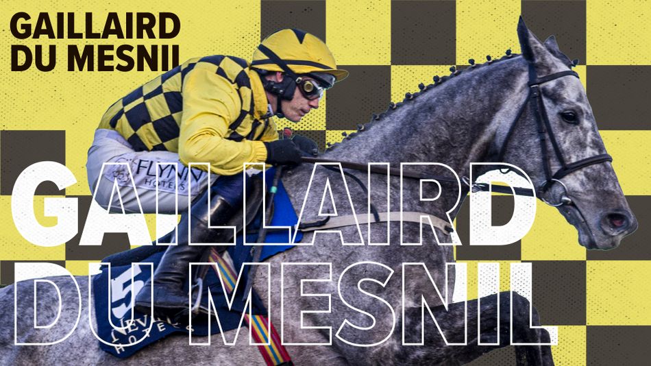 'He's his best ride of the week' - is Gaillard Du Mesnil a class apart ...