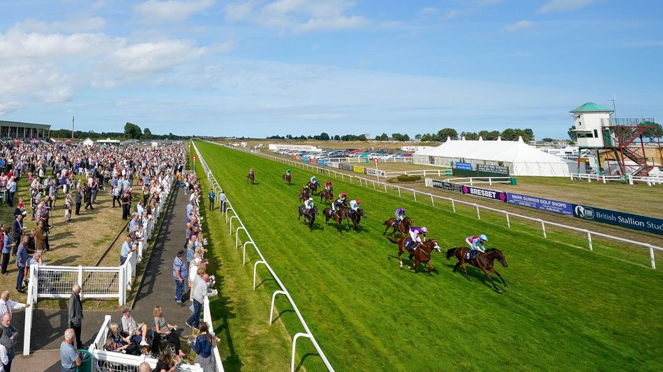 Former trainer Henry Spiller and jockey Ray Dawson allege owners ...