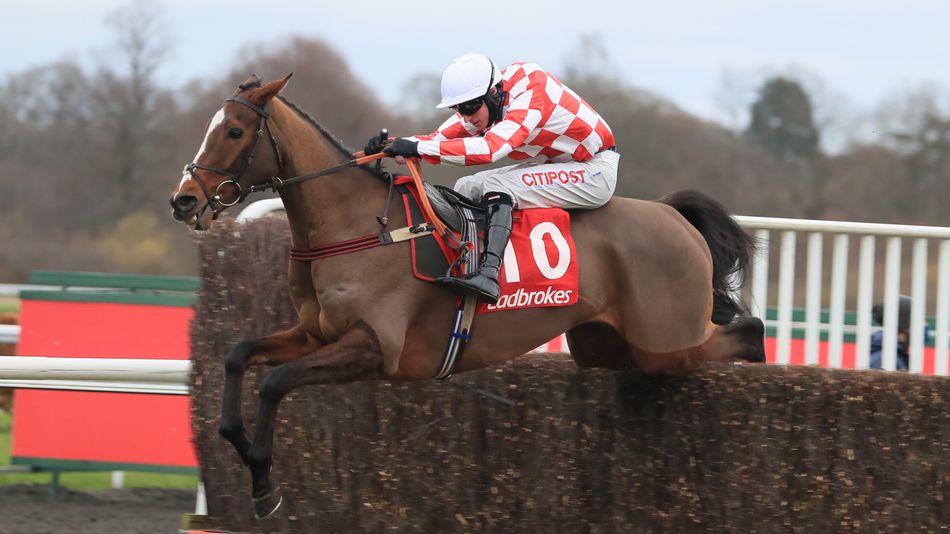 'He was the perfect schoolmaster' - Daisy White rides and trains her ...