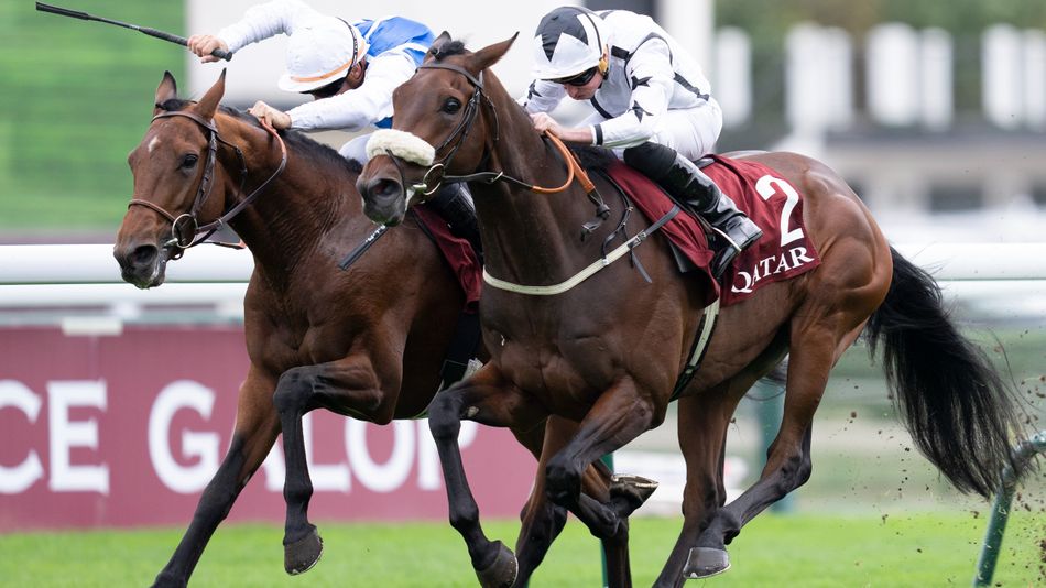 'We thought we might not get him back this year' - Al Qareem downs Bluestocking to claim Listed ...