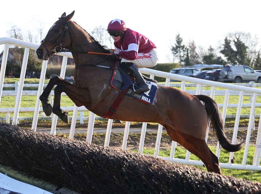 'He'll like the ground and is in good form' - Gordon Elliott's Favori ...