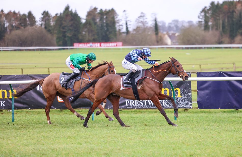 Ayr: 'He's done wonders for me' - Murphy's delight as Thomas Darby successfully restarts chasing ...