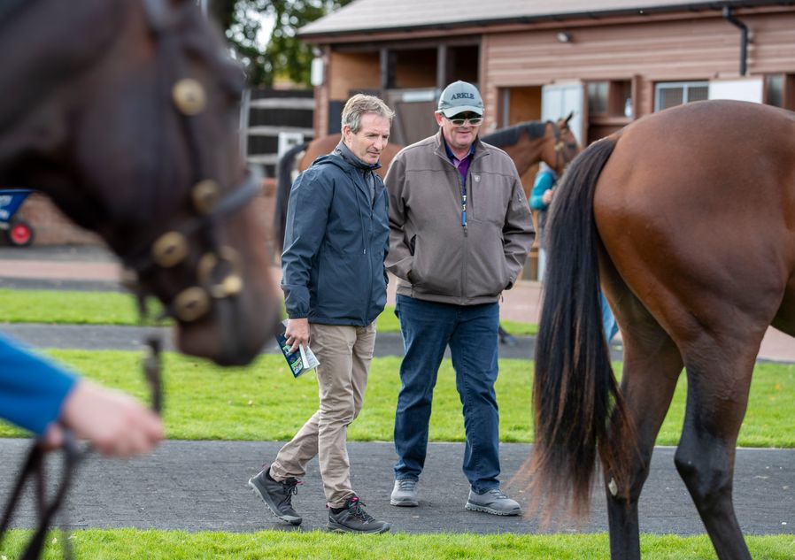 ‘Give me a Gold Cup anytime!’ - Amo Racing move for Gigginstown House ...