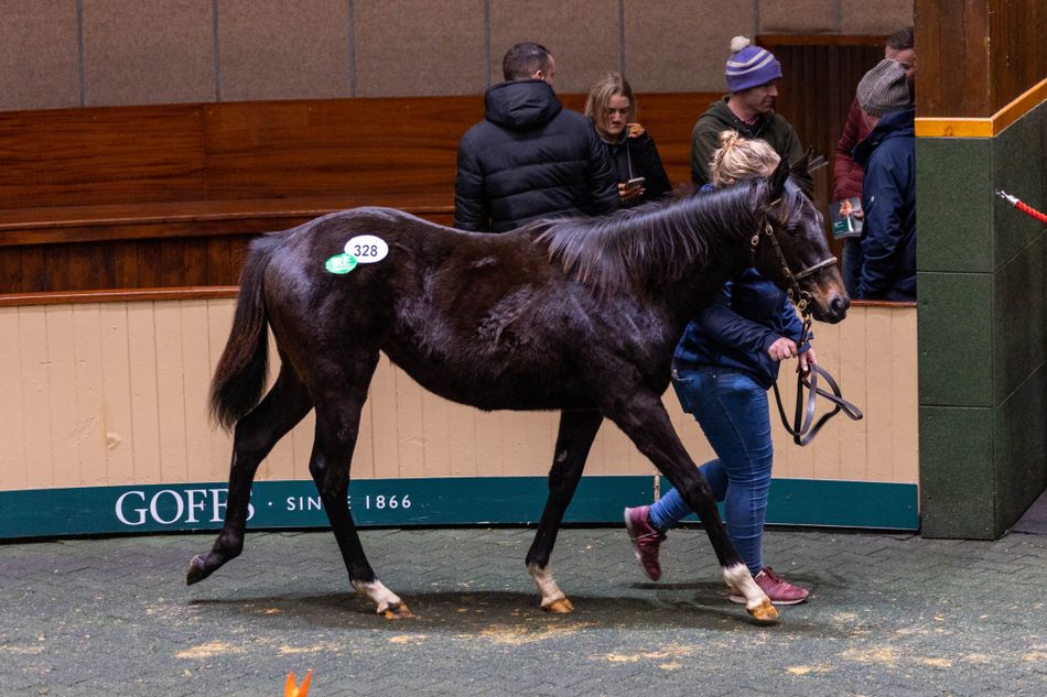 Aisling Crowe saddles up for another spin on the sales merry-go-round ...