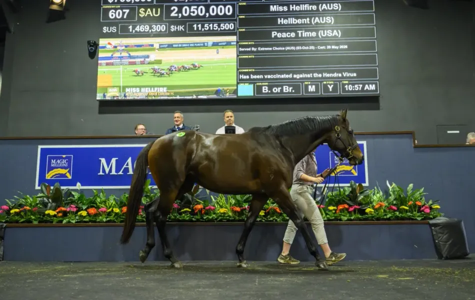 Group-performed mare offered in foal to subfertile sire sells for A$2. ...