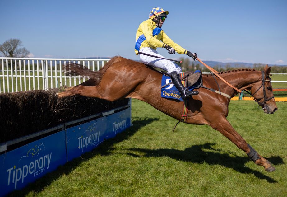 'He's very well in and I can see him running a huge race' - which ...