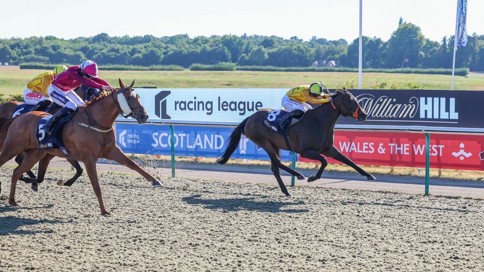 Four course specialists to note on Newcastle's Racing League card this ...