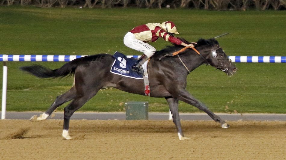 'It's massive for the farm' - Preakness contender Heart Of Honor flying ...