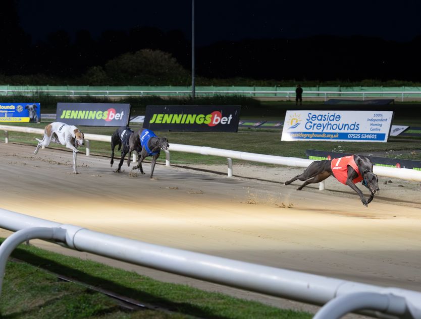 Heka kicks off fabulous evening for Janssens | Racing Post