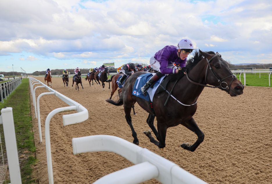 New boy David Egan in the big money again thanks to Elegant Man in ...