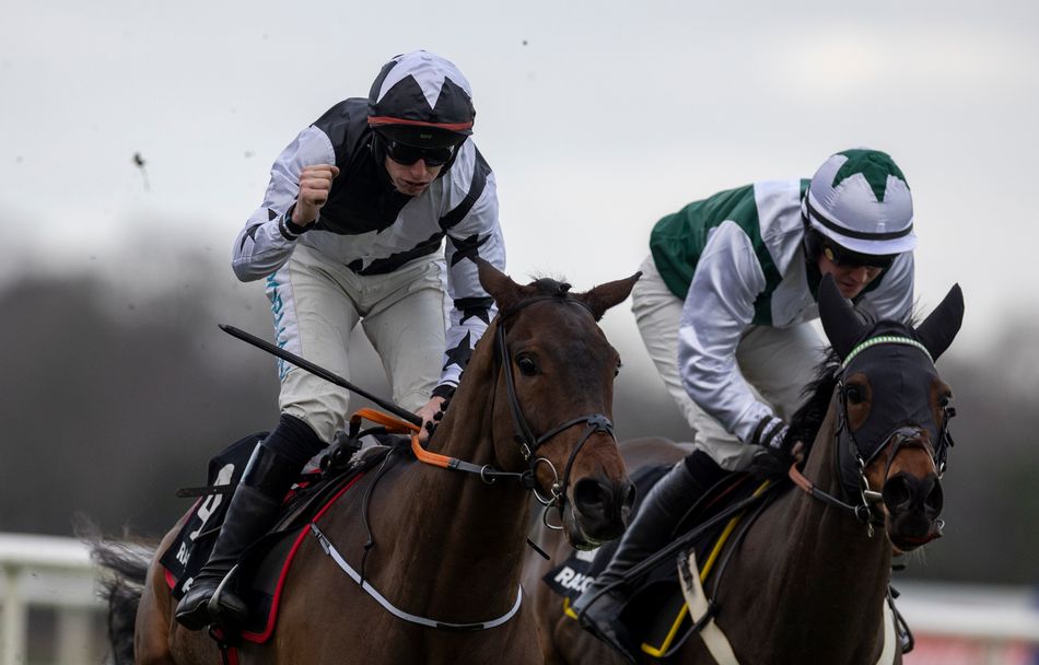 Arkle or Brown Advisory for Romeo Coolio? Odds-on favourite lunges late ...