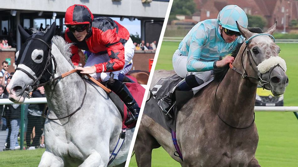 The Grey Horse Handicap kicks off Newmarket's card and Clive Cox thinks ...