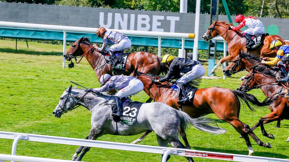 Glorious Goodwood tips: why this horse can win the Stewards' Cup on ...