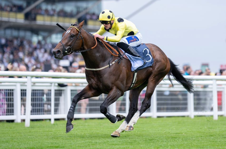 'He's the full package' - Group-winning sprinter Elite Status to stand ...