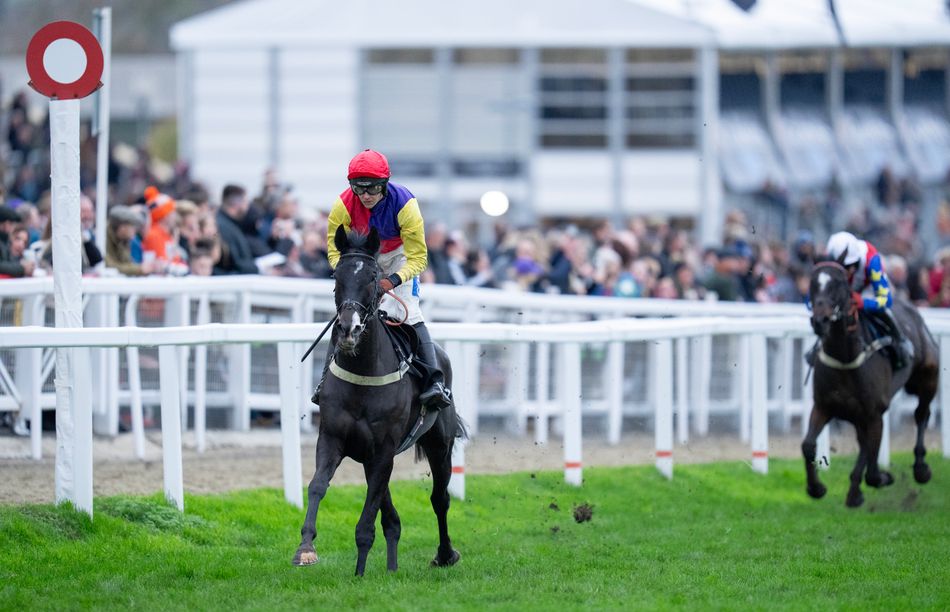 'He's becoming the complete package' - Champion Hurdle talk now on the ...
