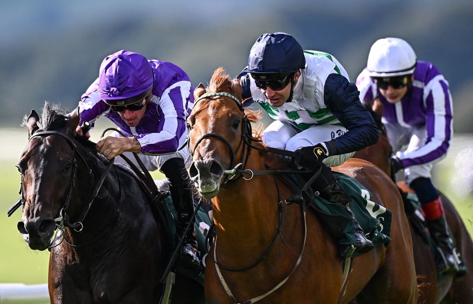 Eve Johnson Houghton's stable star Zavateri ruled out of 2,000 Guineas ...