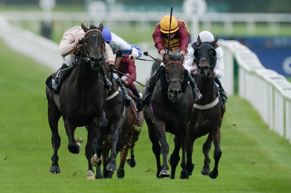 Graham proves golden once more for Lady Gillian Howard de Walden ...