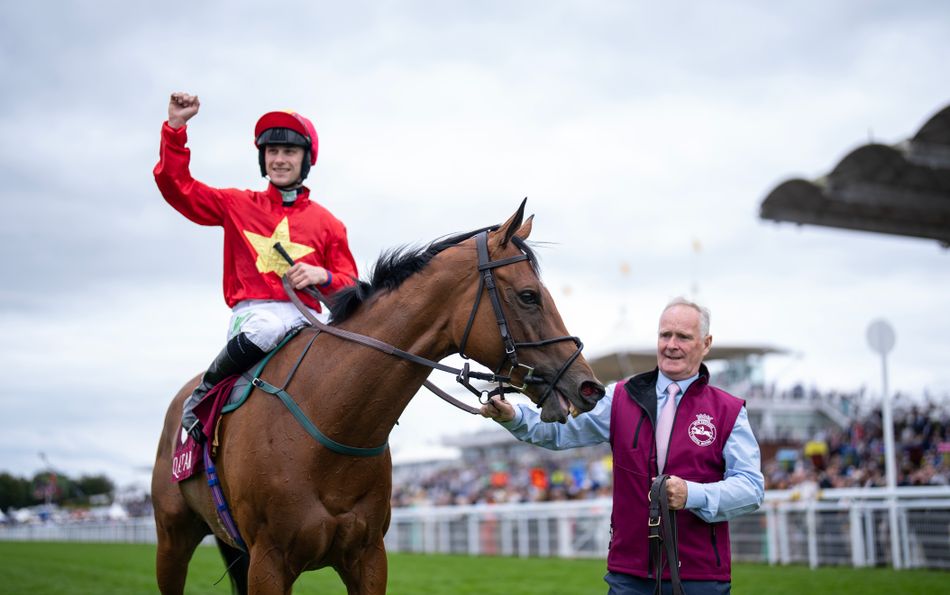 Jason Hart hails 'amazing week' after Highfield Princess triumph ...