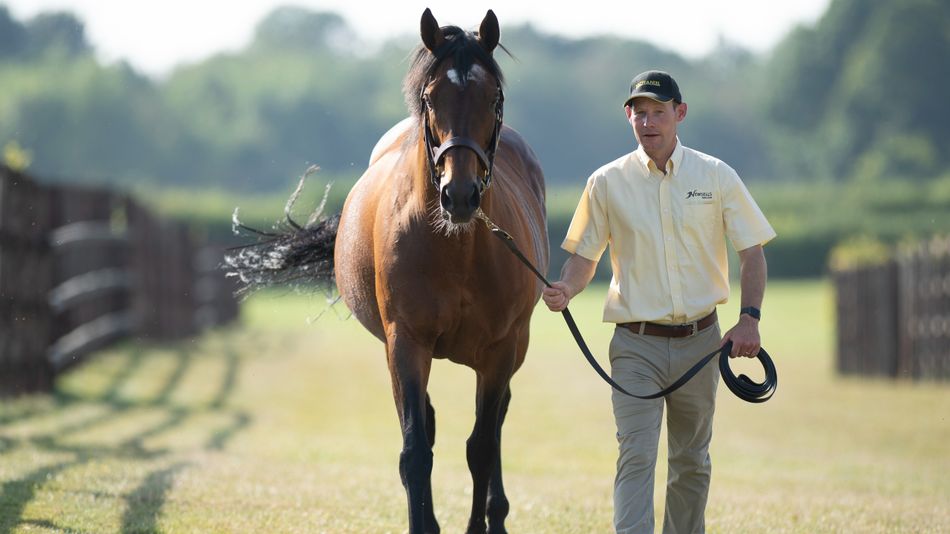 'You don't really expect to get anything more from what you do and love ...