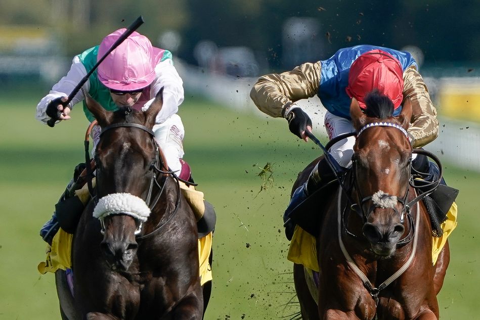 Array shows courage to give Andrew Balding first Mill Reef win | Racing ...