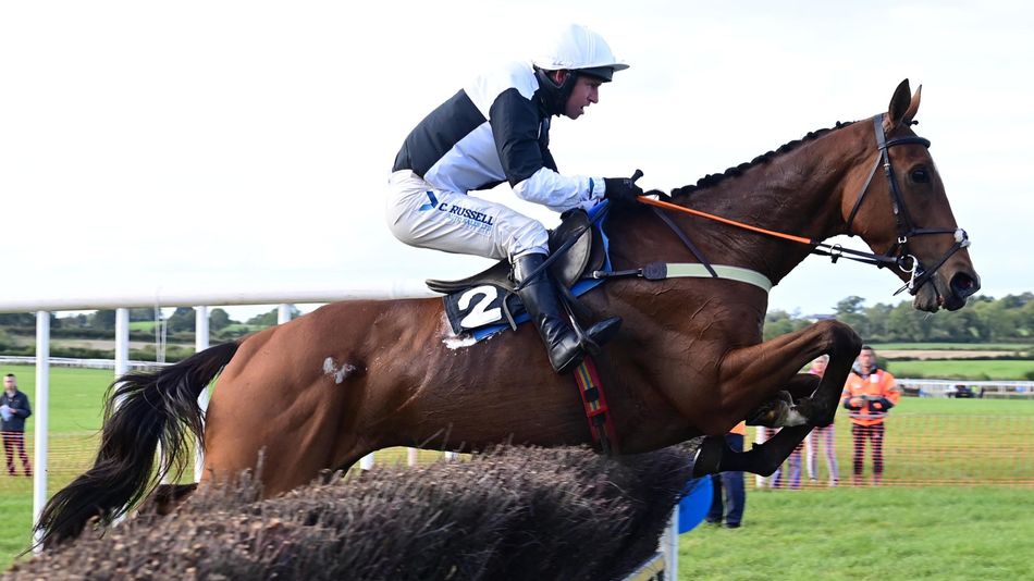 Caroline McCaldin's Gorthill can make his presence felt on hunter ...