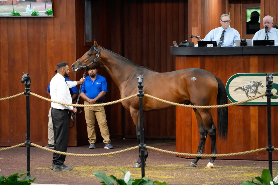$1.45 million Gun Runner colt leads the way on day two of the OBS ...