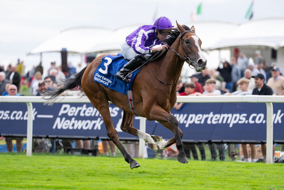 Multiple Oaks winner Minnie Hauk returns in Group 2 Mooresbridge Stakes ...