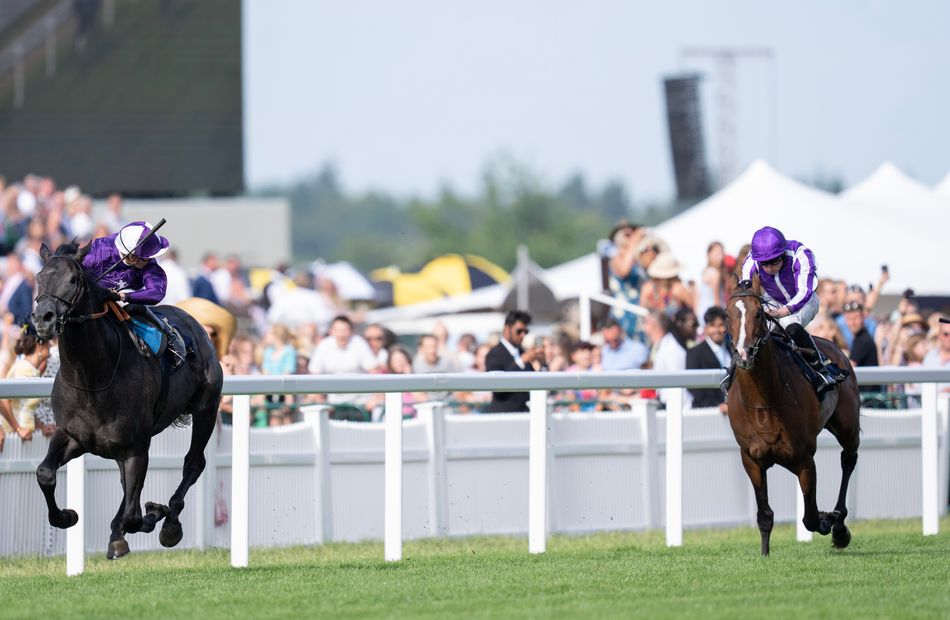 'You don't know how good he could be' - Derby runner-up King Of Steel ...