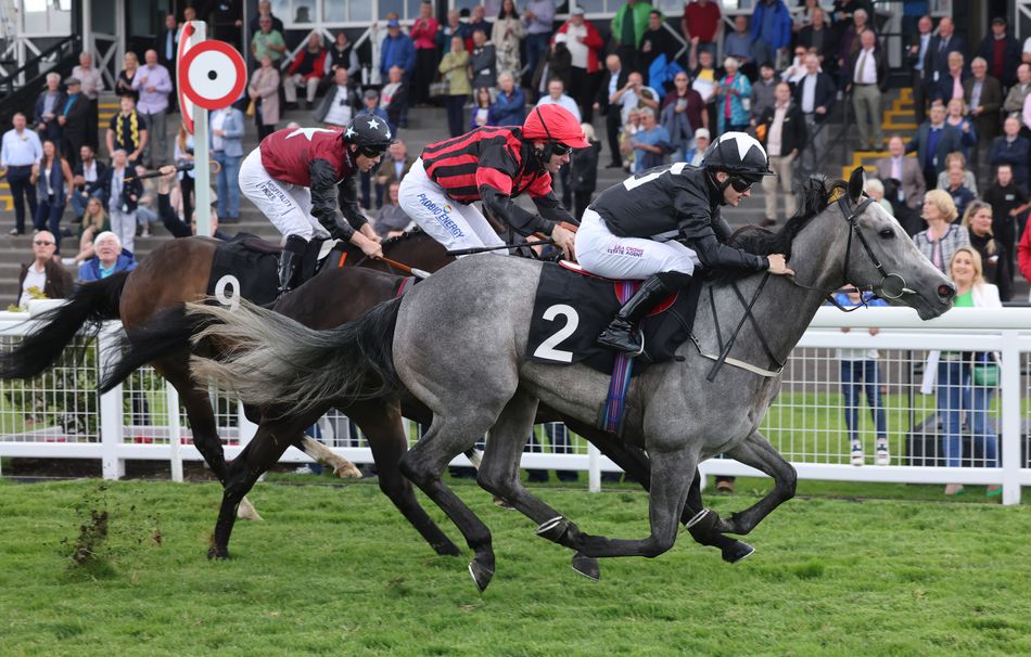 'She's as game as anything' - Isle Of Dreams back on top with fourth ...