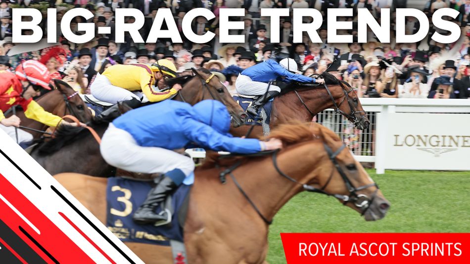 Big-race trends: key data for the King's Stand and Jubilee Stakes ...