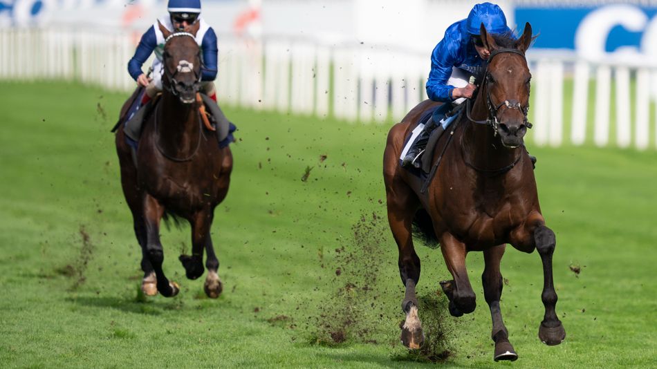 Derby winner Adayar takes on three rivals in Gordon Richards Stakes at ...