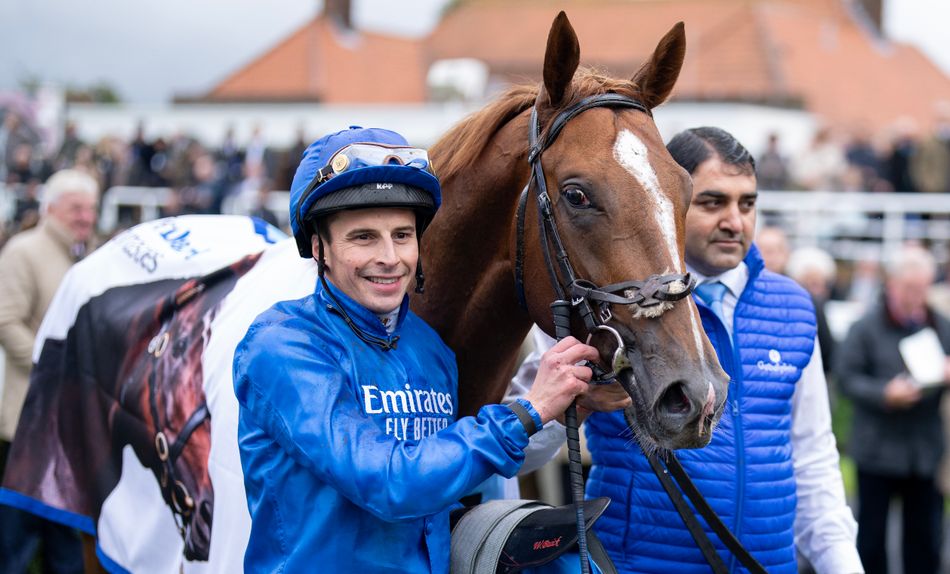 Champion two-year-old Shadow Of Light retired to stand at Kildangan ...