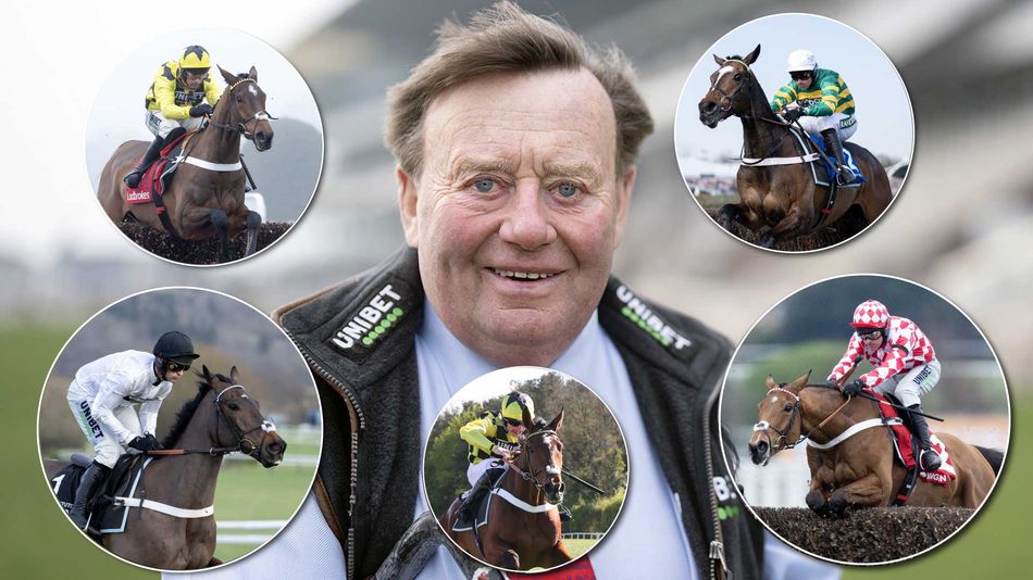 Five things we learned about Nicky Henderson's team - and the big question looming over Seven ...