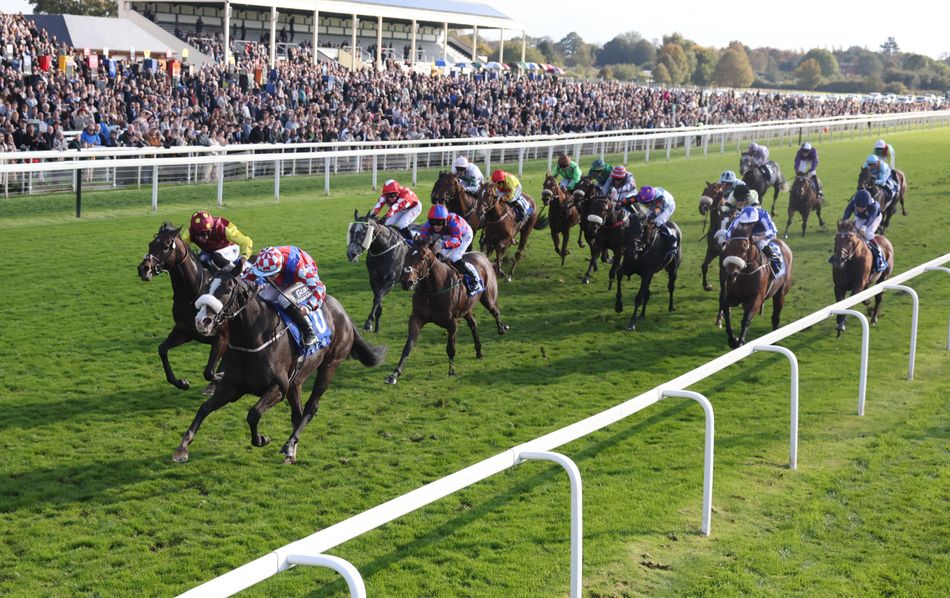 'He's come back down to a very workable mark' - key quotes and analysis ...