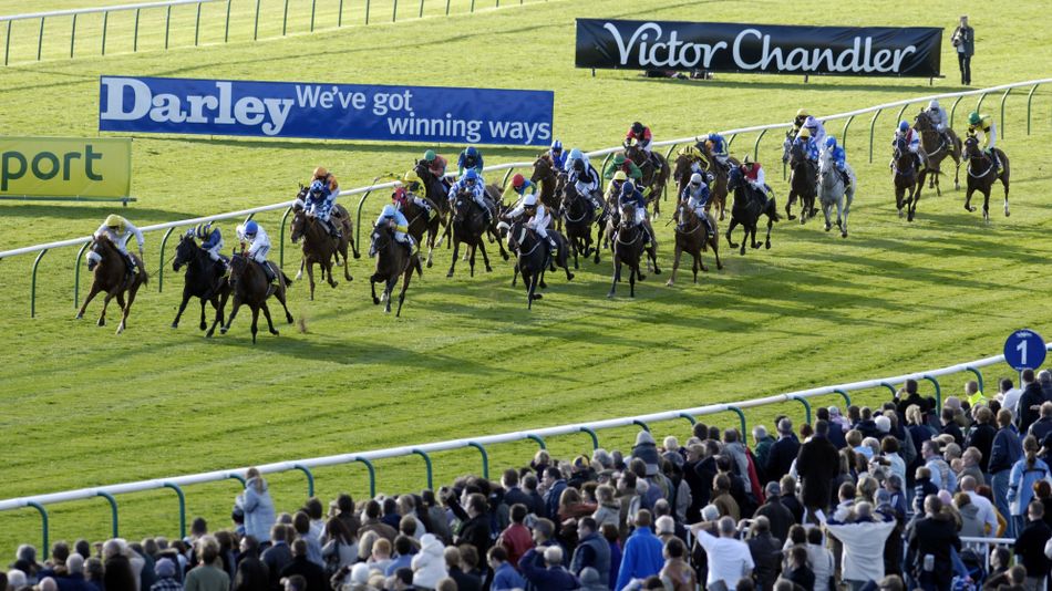 Bettors urged to write to their MP with affordability checks concerns ...