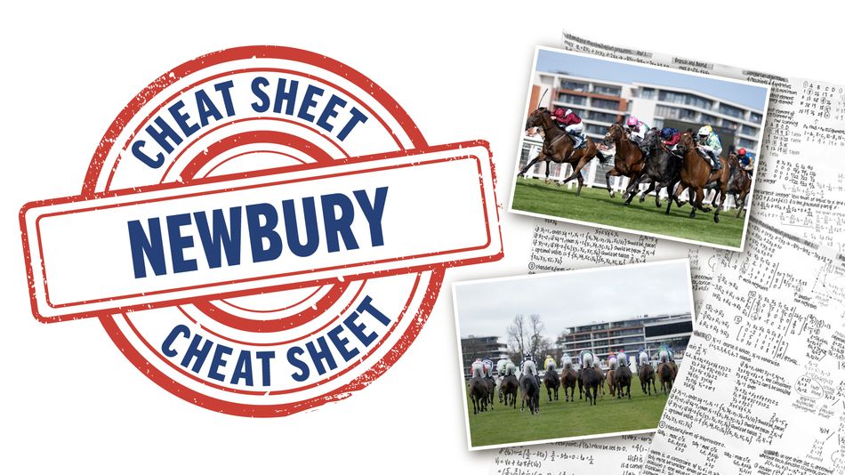 A slick hurdling hope, one on an attractive mark and a fancied lightly ...
