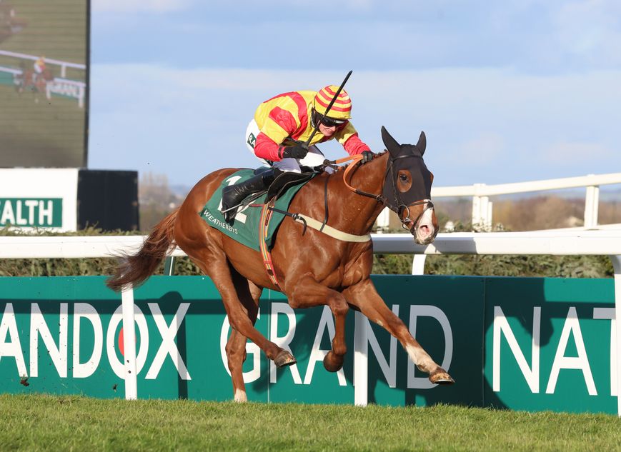 Neil King unleashes 'very exciting' Lookaway in Grade 2 novice hurdle ...